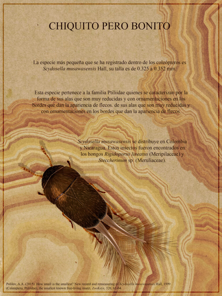 2024 Archives - Page 11 of 20 - RDU UNAM